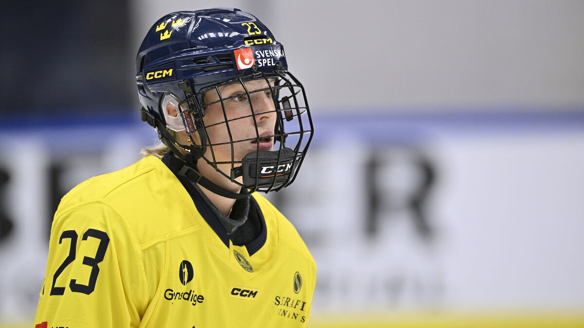 Sweden superior by far – but lost to Switzerland | Sweden Herald