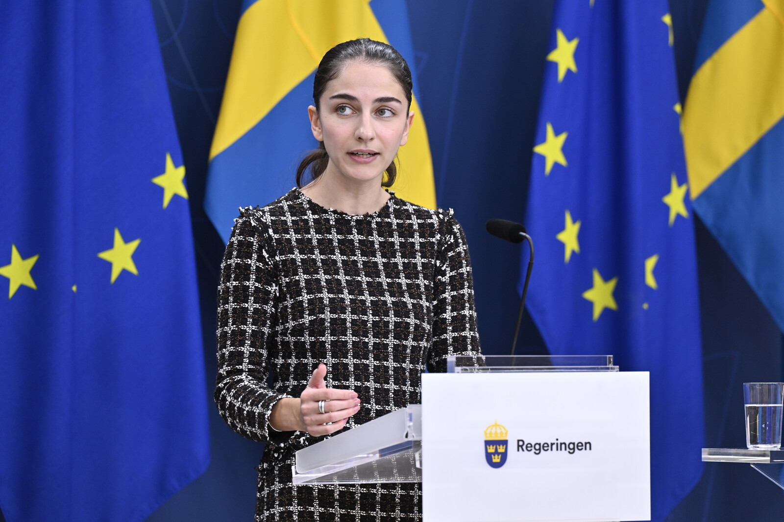 Sweden drops in climate ranking | Sweden Herald