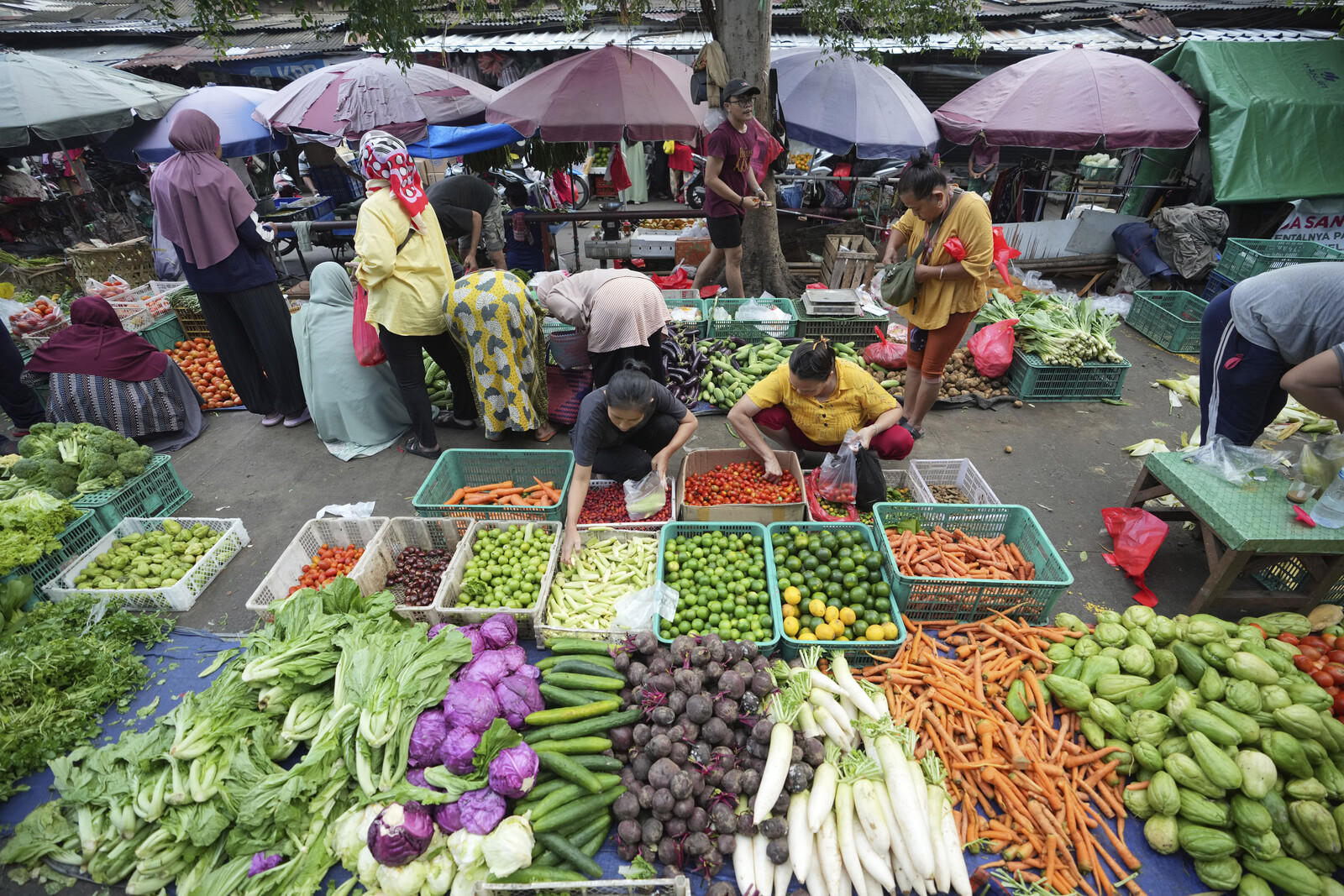 Global Study Reveals Indonesia Tops in Meaningful and Thriving Lives ...