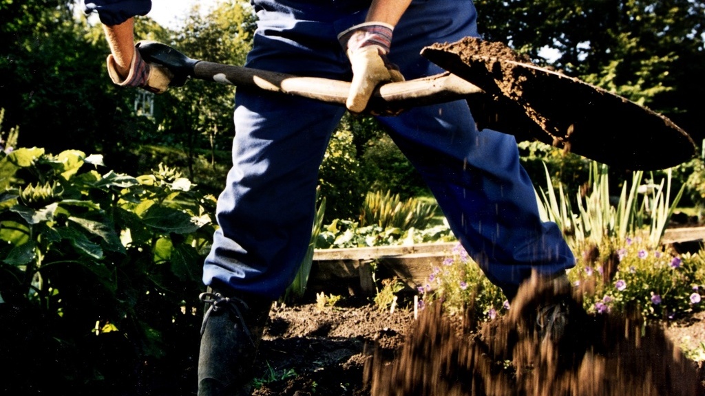 "Monster Weed" on the March in Sweden | Sweden Herald