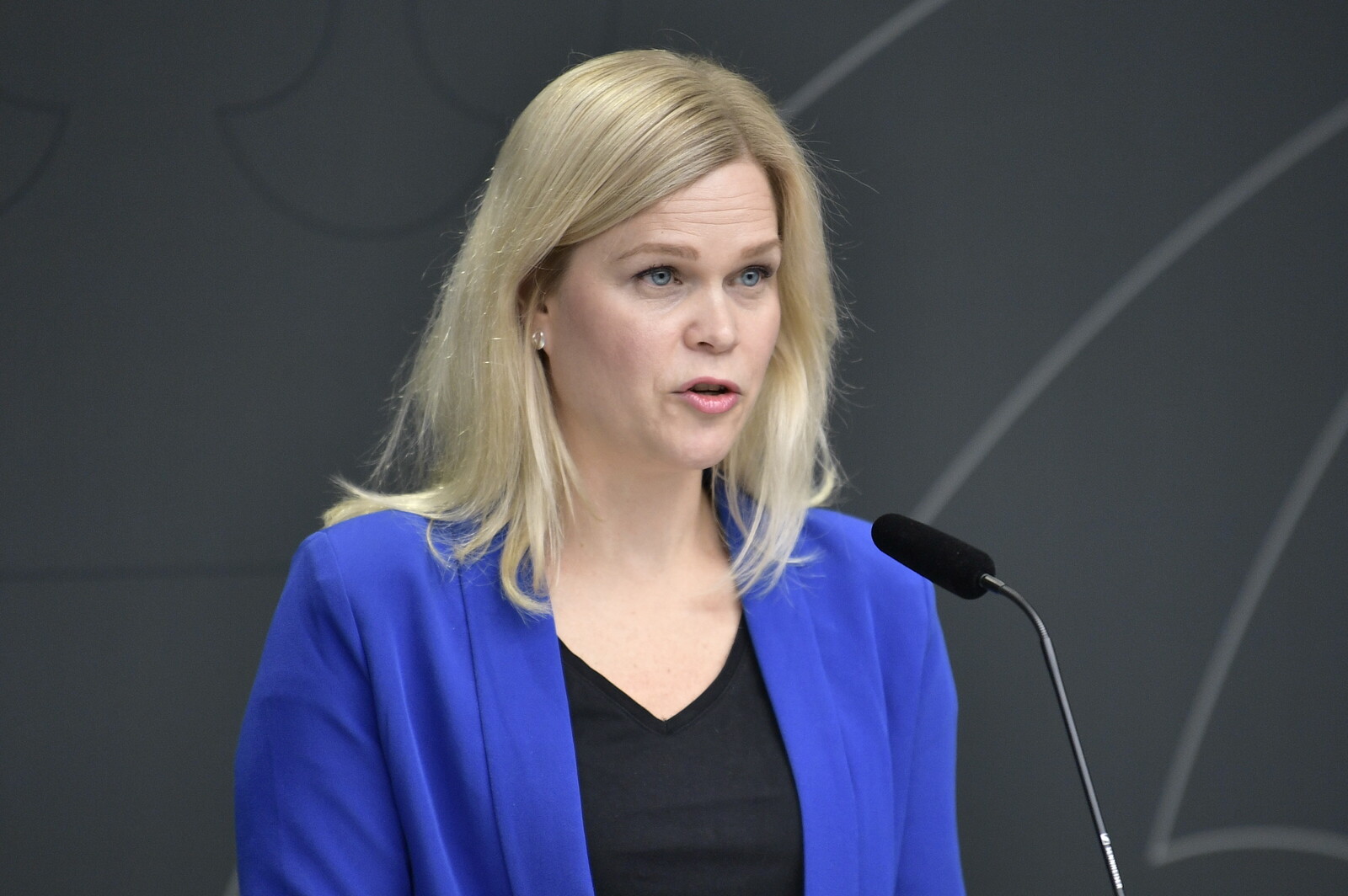 Sweden to Announce New Minister for Gender Equality and Labor Market ...