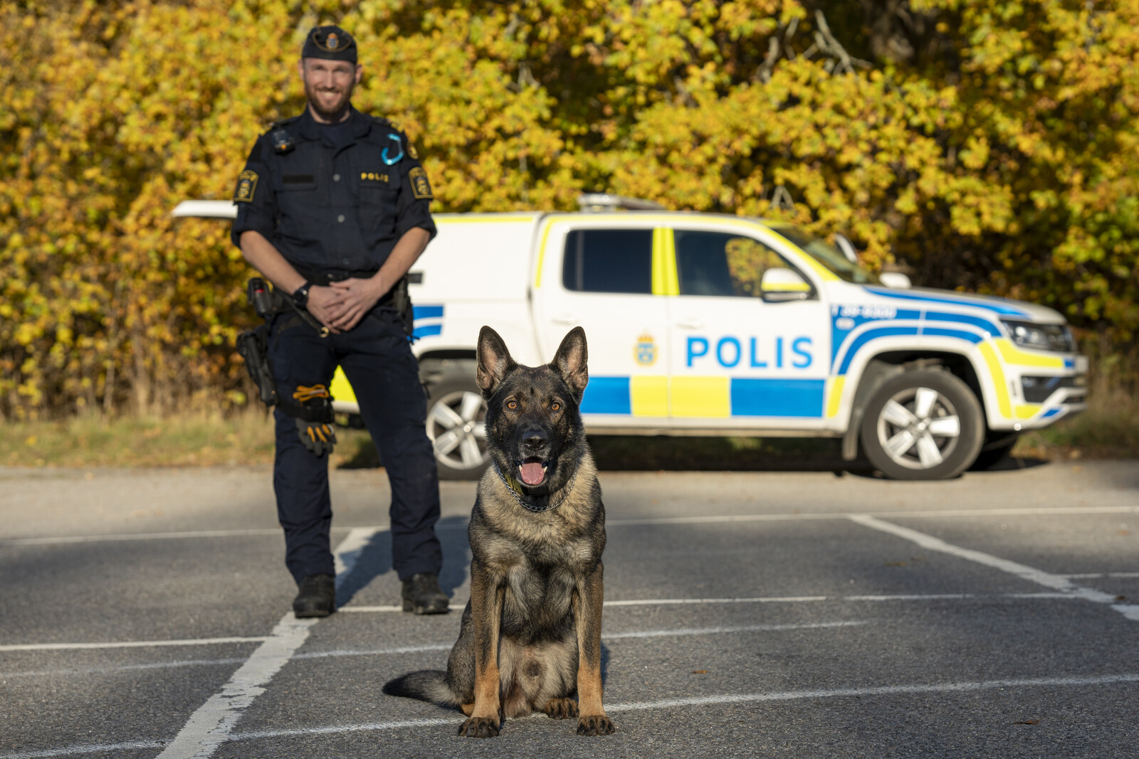 Hank is the Police Dog of the Year | Sweden Herald