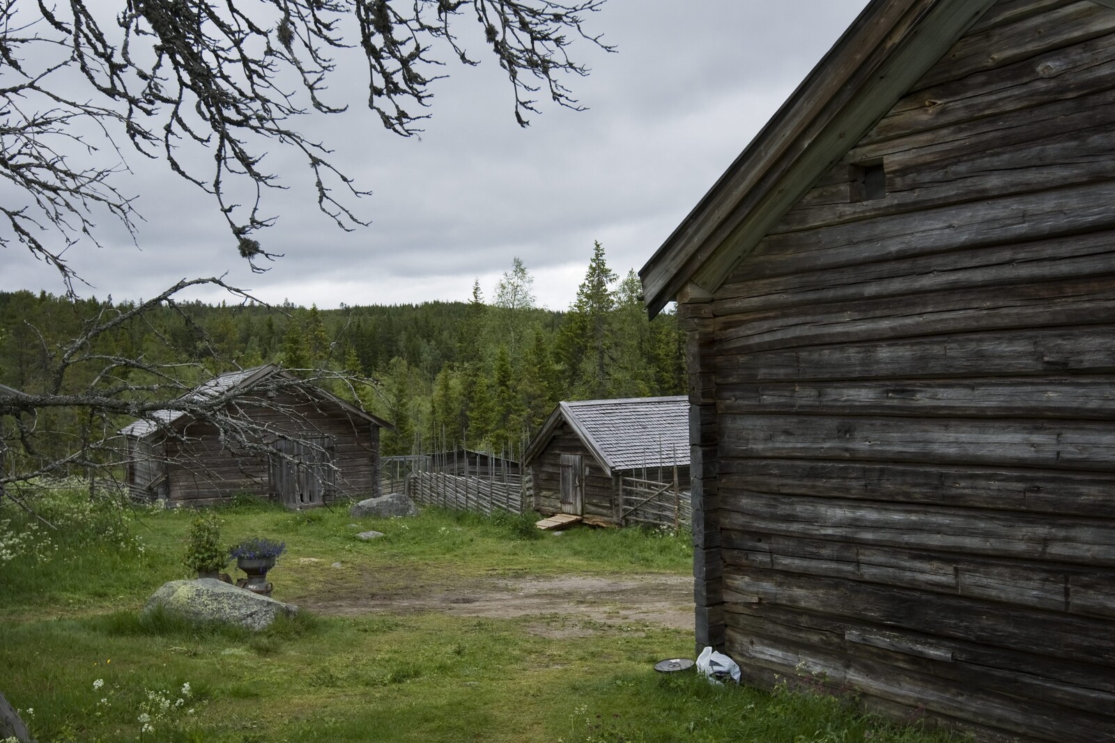 Mountain Farm Culture New Cultural Heritage | Sweden Herald