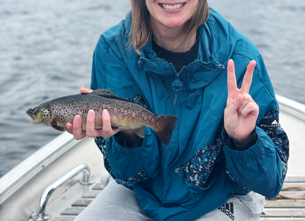 Hunting for the perfect Instagram picture plagues fish | Sweden Herald