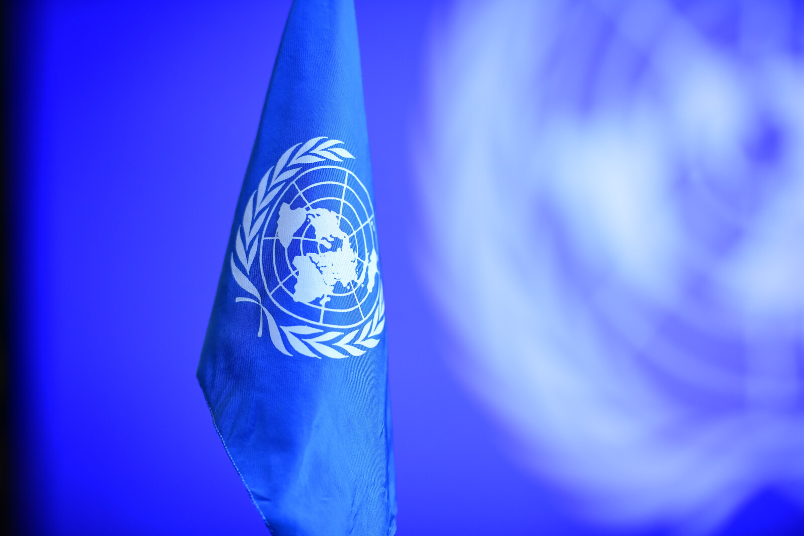 Elinor Hammarskjöld in a high post at the UN | Sweden Herald