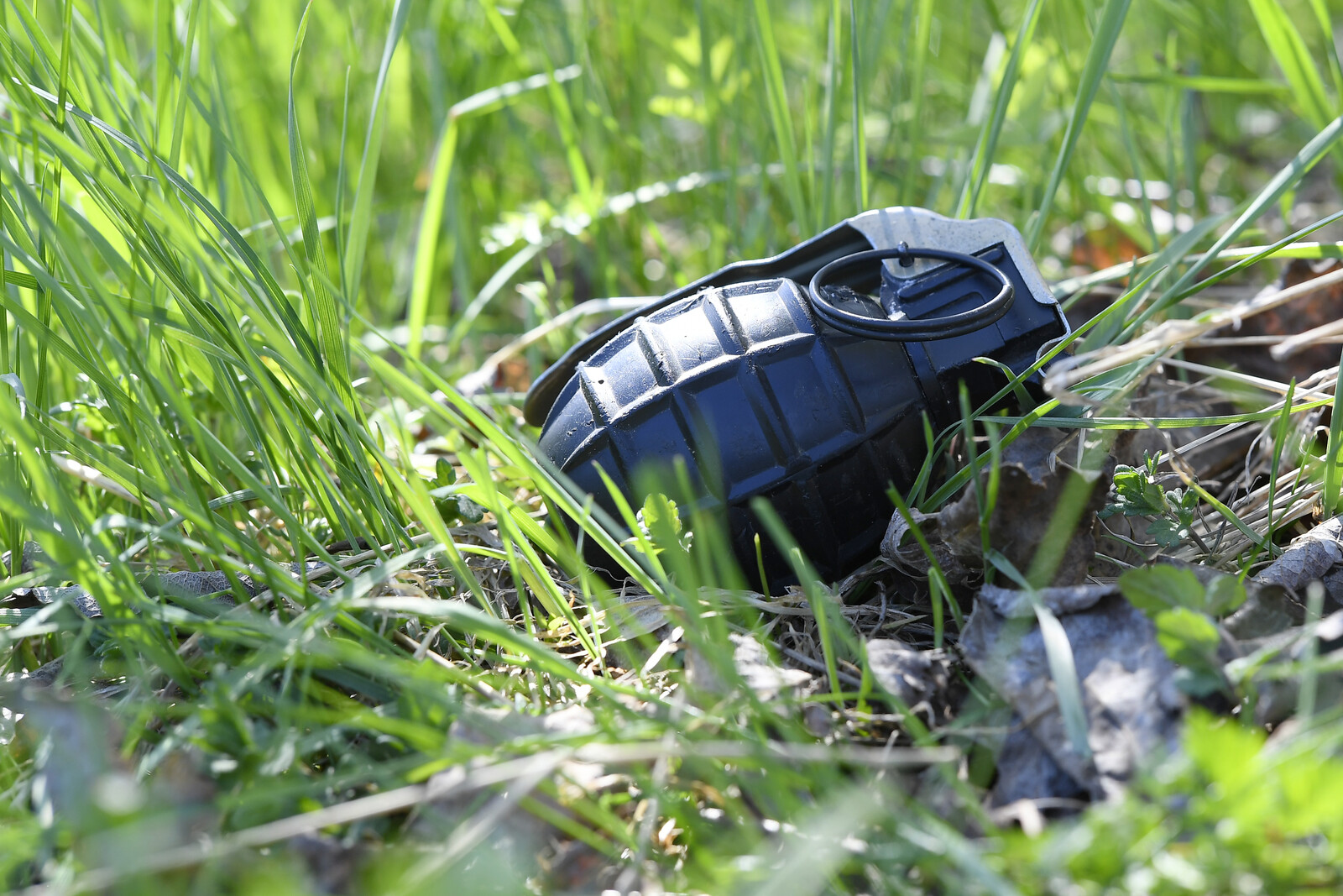 Hand Grenades Becoming Increasingly Common Among Criminals | Sweden Herald