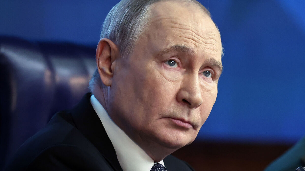 Putin attacks Europe's "little pigs" | Sweden Herald