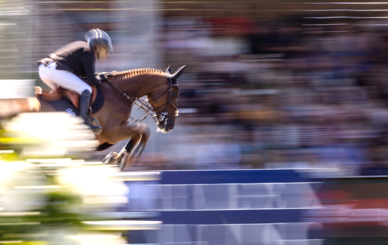 Falsterbo Horse Show Fallout: Al Shira'aa Owner Criticizes Swedish ...