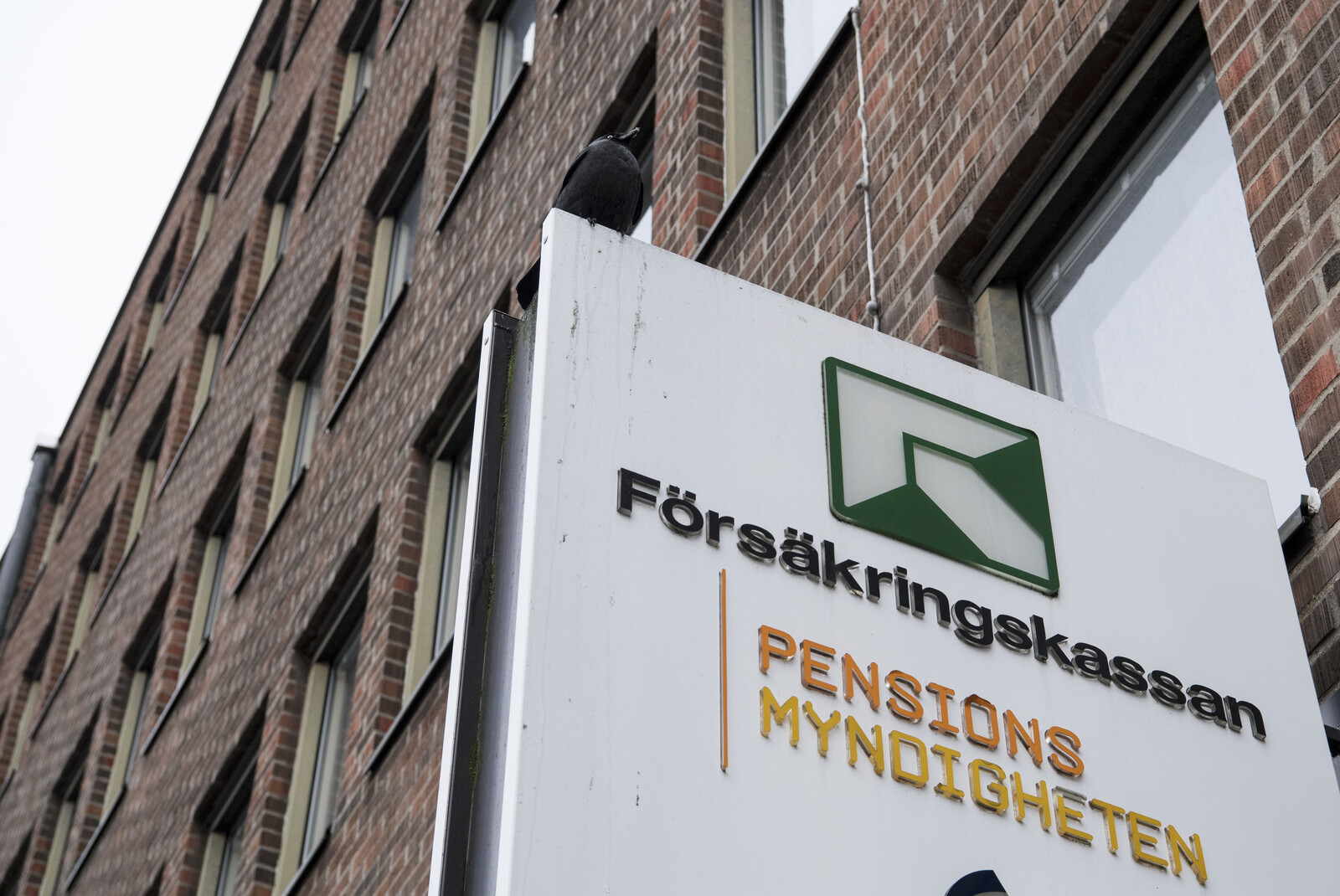 Authority struggles to keep up with the volume of repayment claims ...