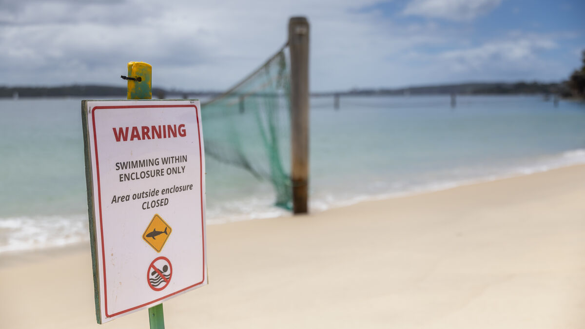 12-year-old boy dies in shark attack in Sydney | Sweden Herald