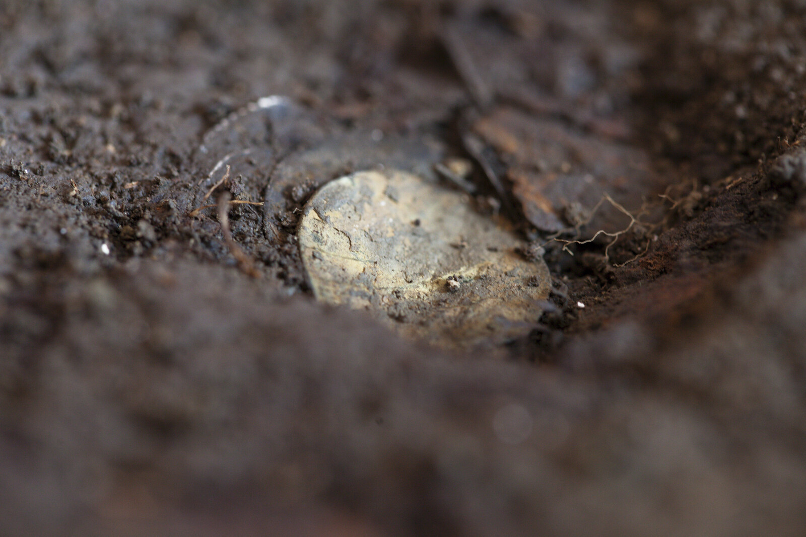 Large Medieval Silver Treasure Discovered Near Stockholm | Sweden Herald