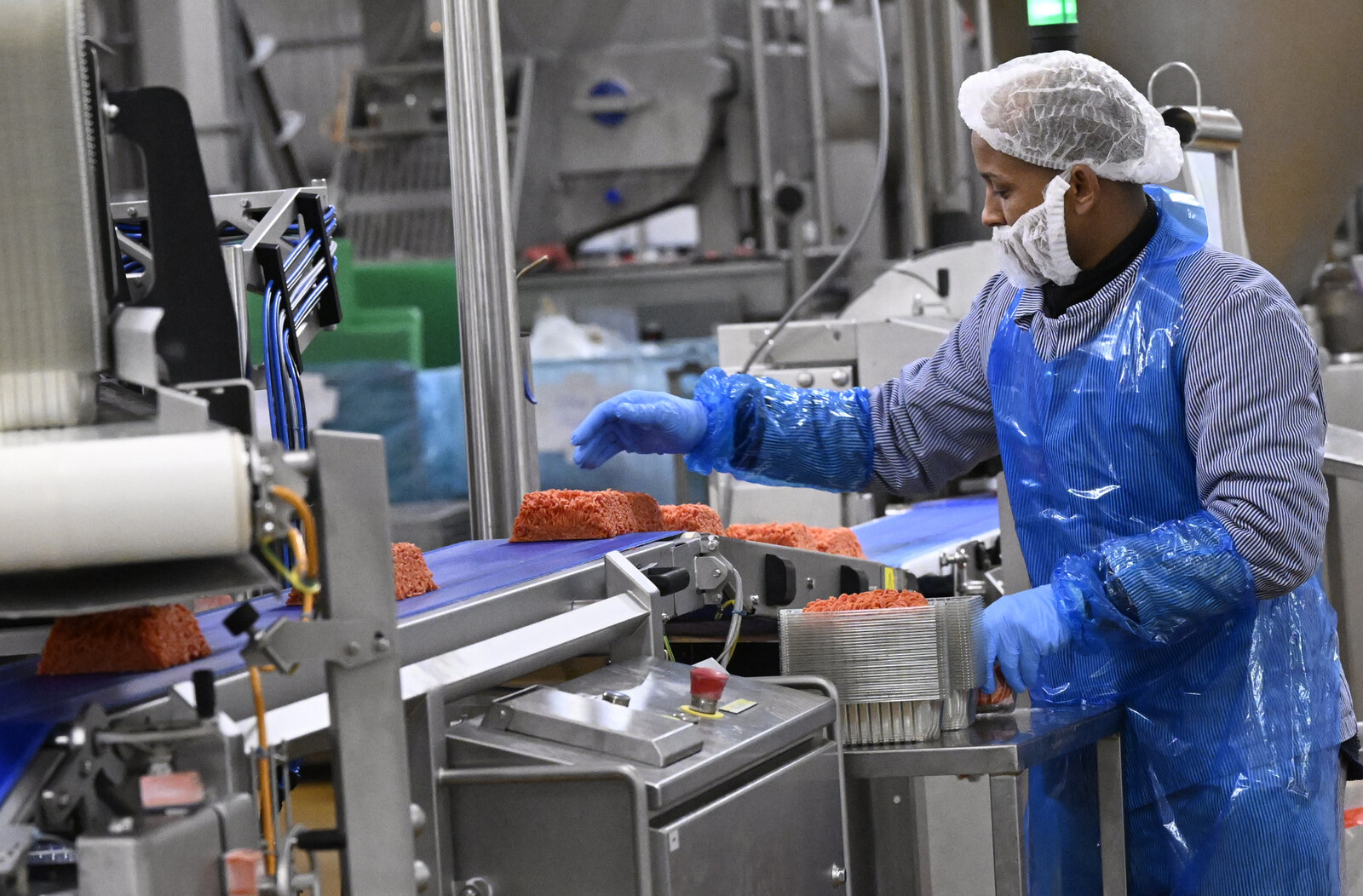 Hybrid meat takes its place on store shelves | Sweden Herald