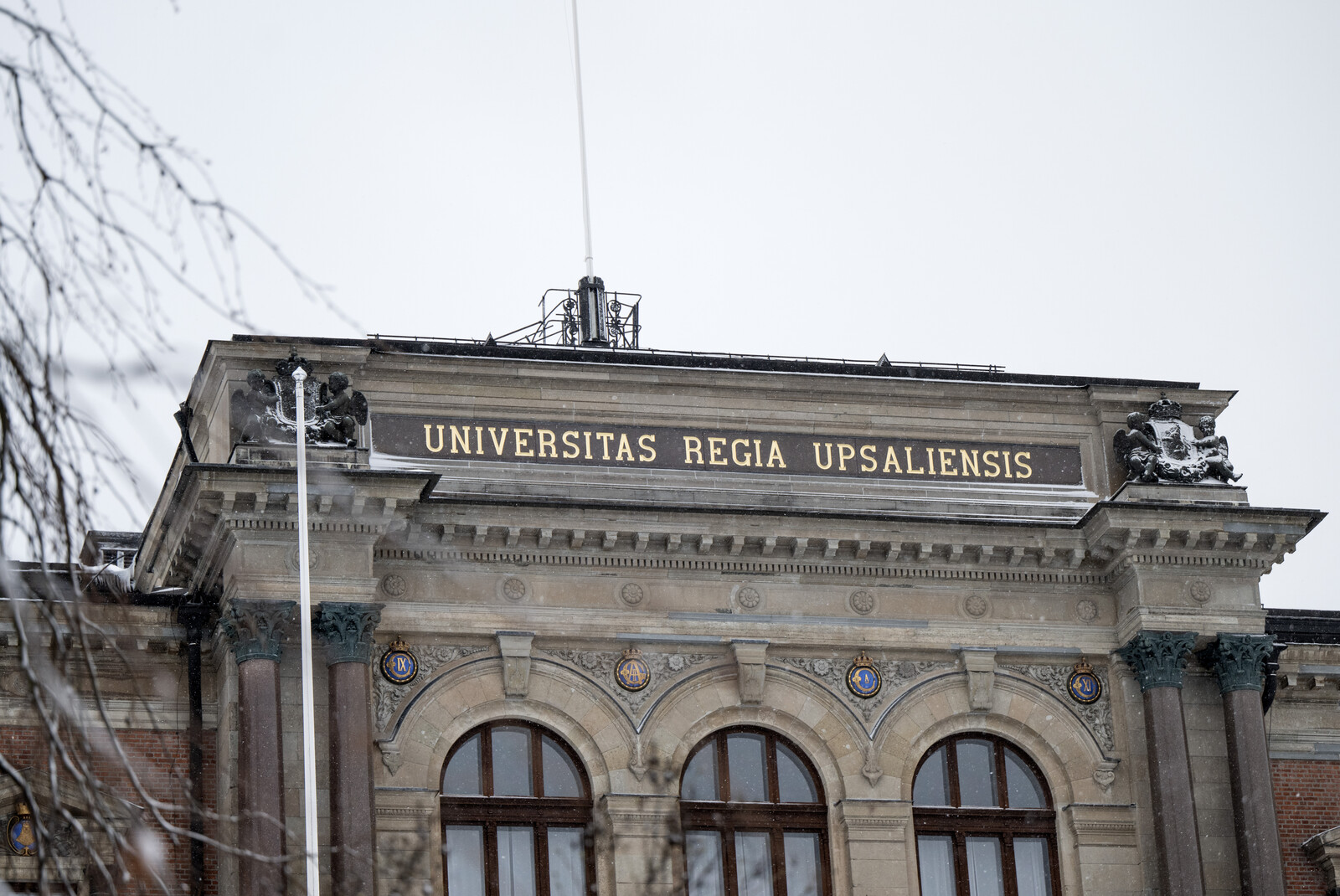 New Cultural Institute Launched at Uppsala University | Sweden Herald