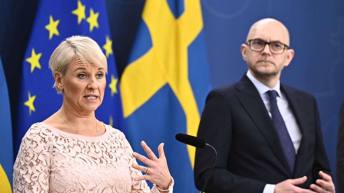 Bill on subsidy cap finalized - 150,000 affected | Sweden Herald