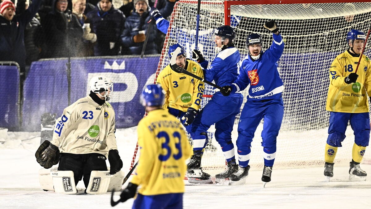 Finnish World Cup roar - Finland defeats Sweden 4-3 | Sweden Herald