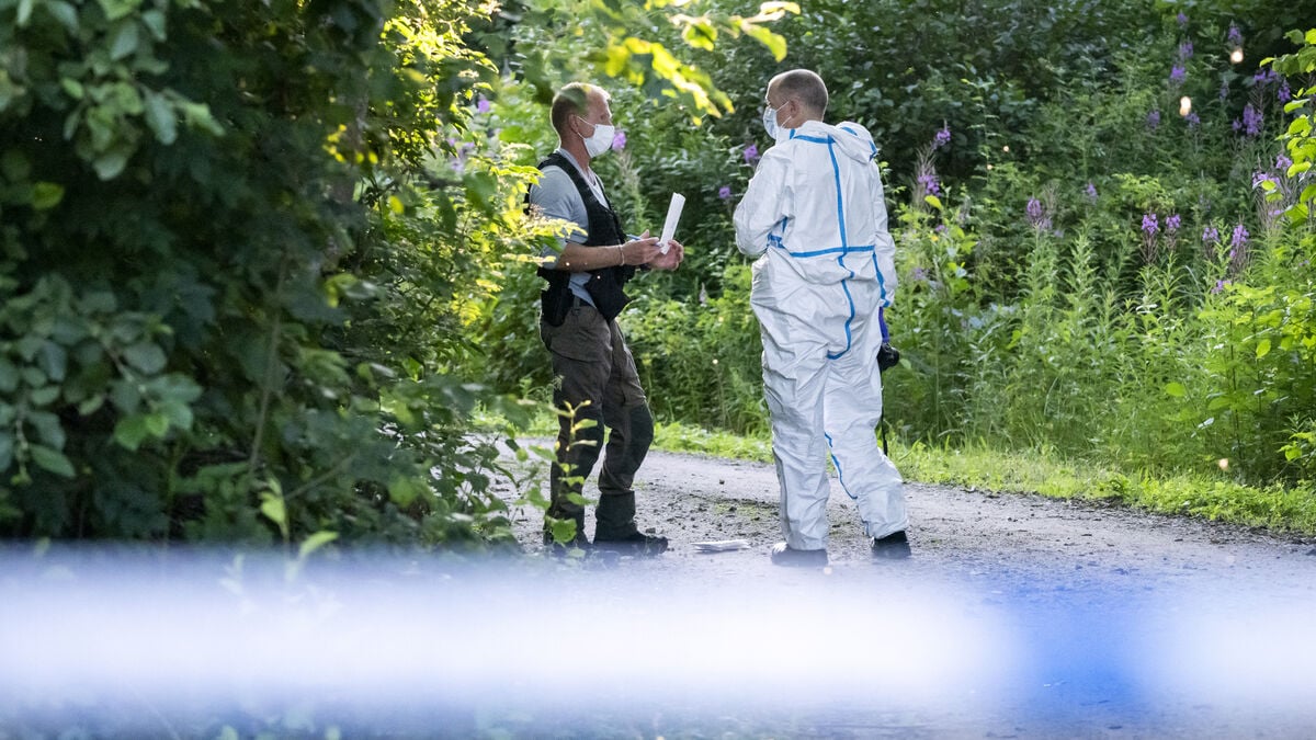 26-year-old man suspected of double murder in Malmö has died | Sweden ...
