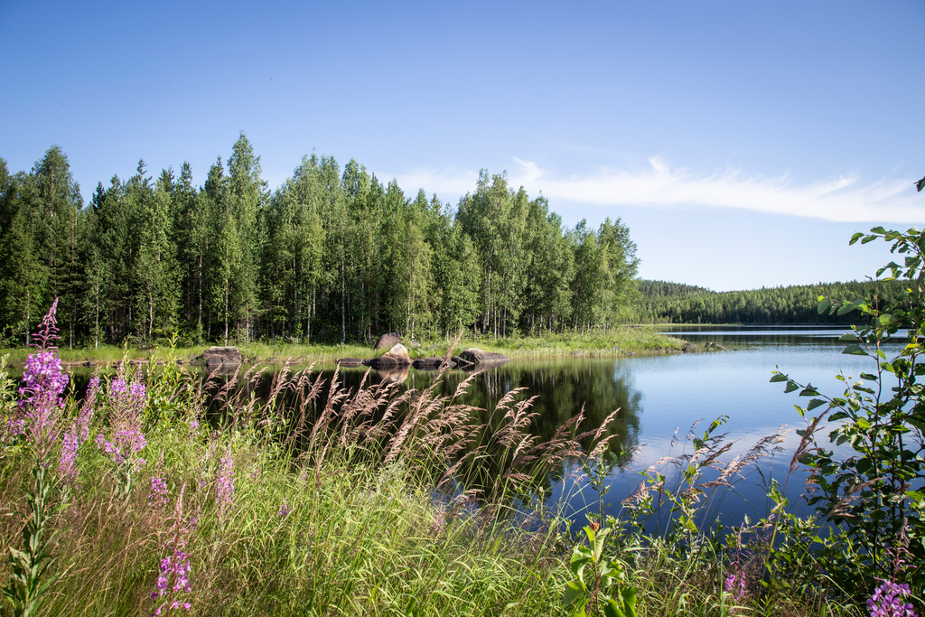 New Millions for Liming of Acidified Lakes | Sweden Herald