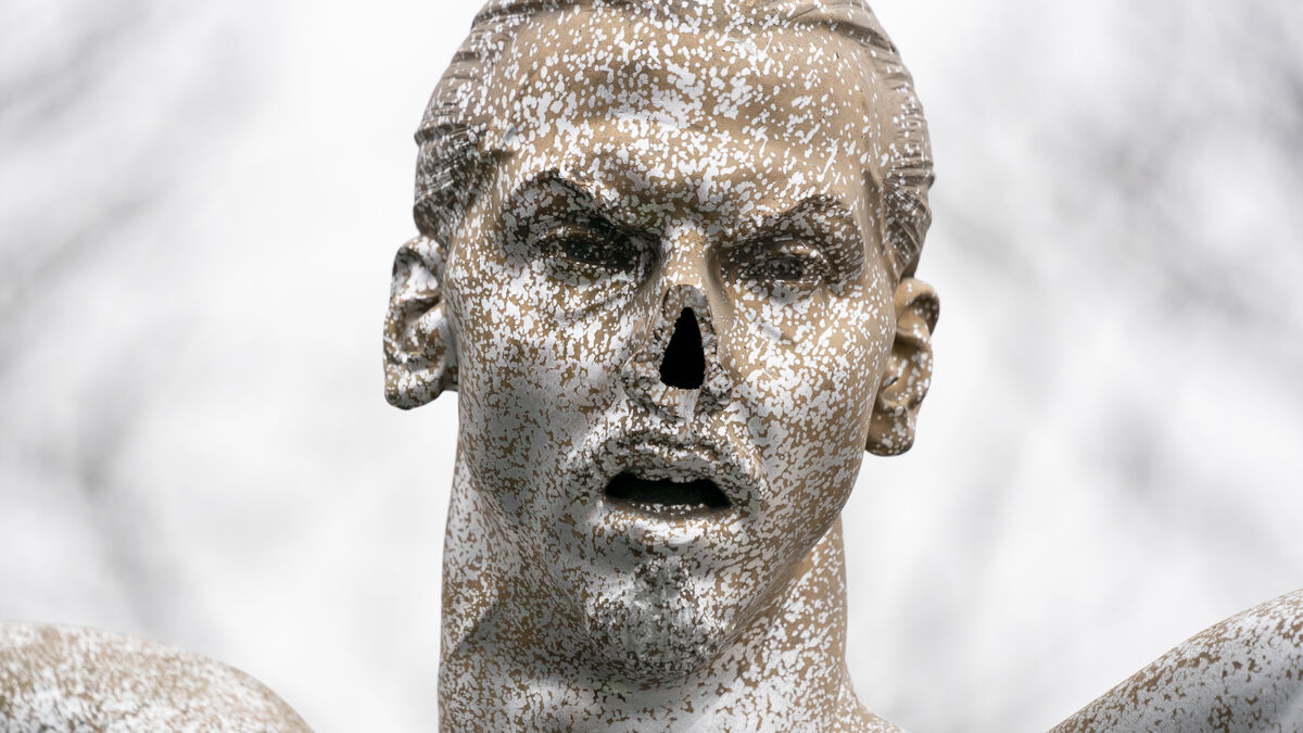 Zlatan's nose appeared in Malmö | Sweden Herald
