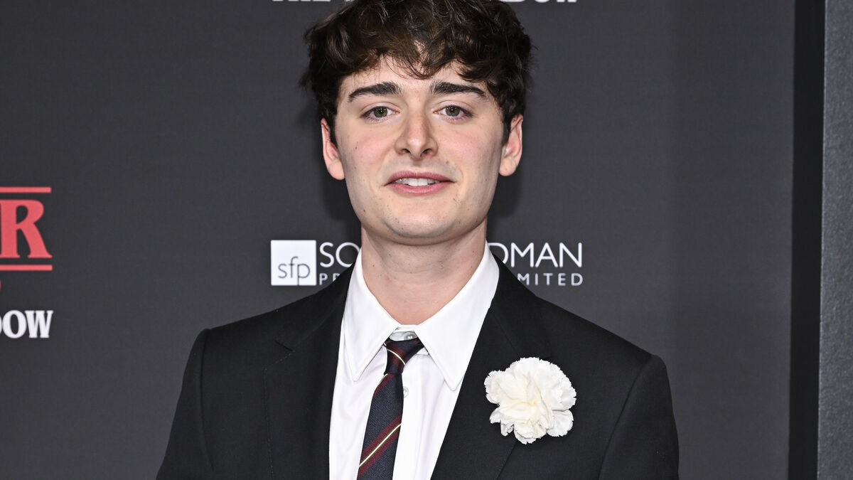 Noah Schnapp from Stranger Things to Attend Stockholm Comic Con ...