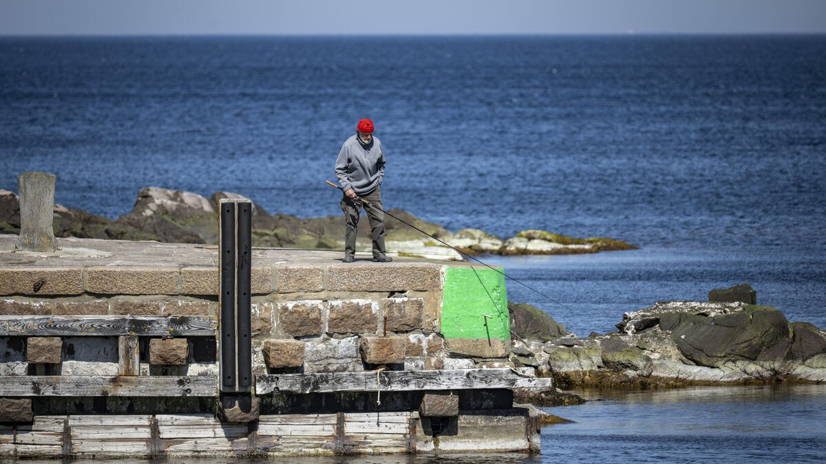 The EU wants to invest in electricity via Bornholm's "energy island ...