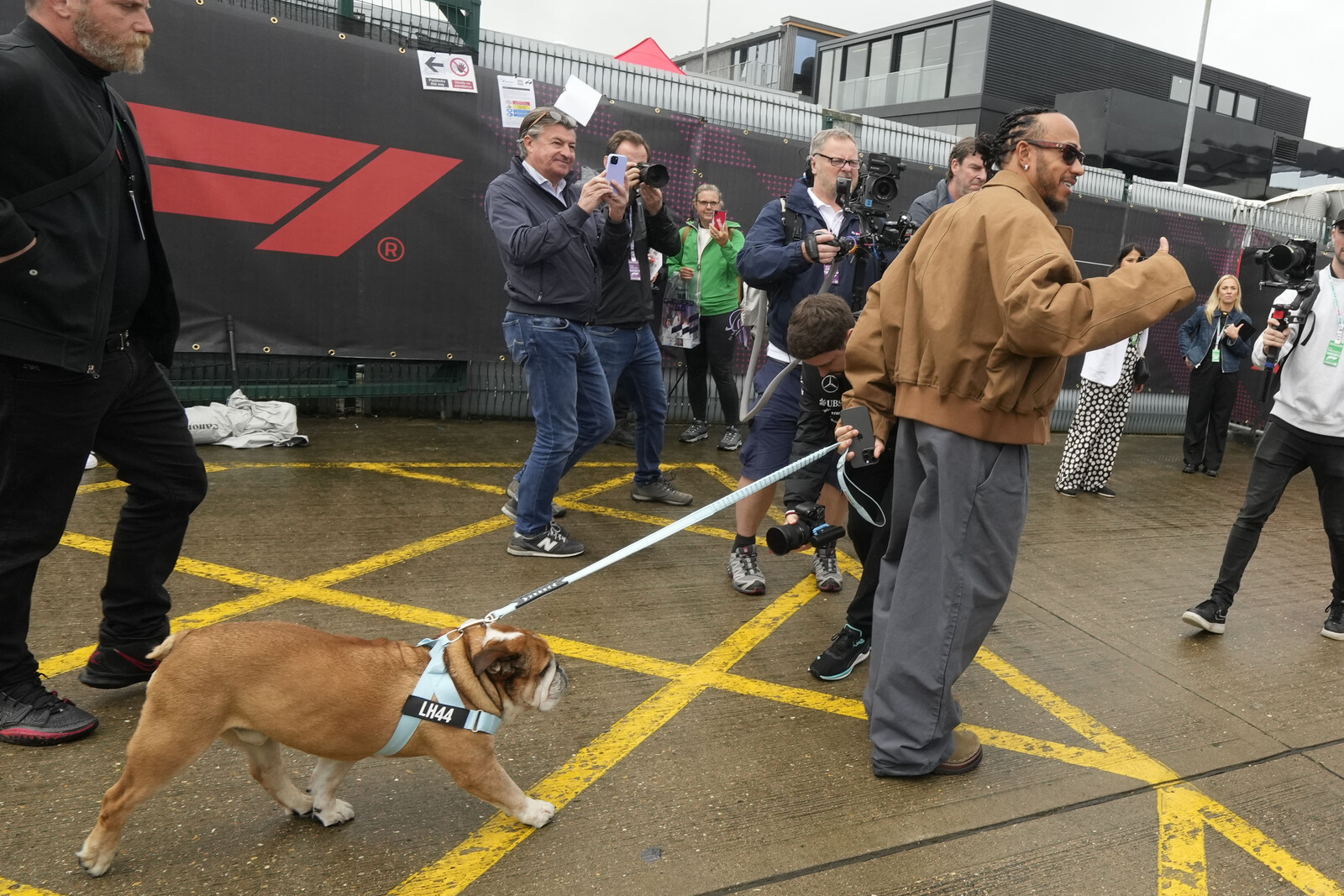Lewis Hamilton Misses F1 Tire Test Due to Dog's Critical Illness ...