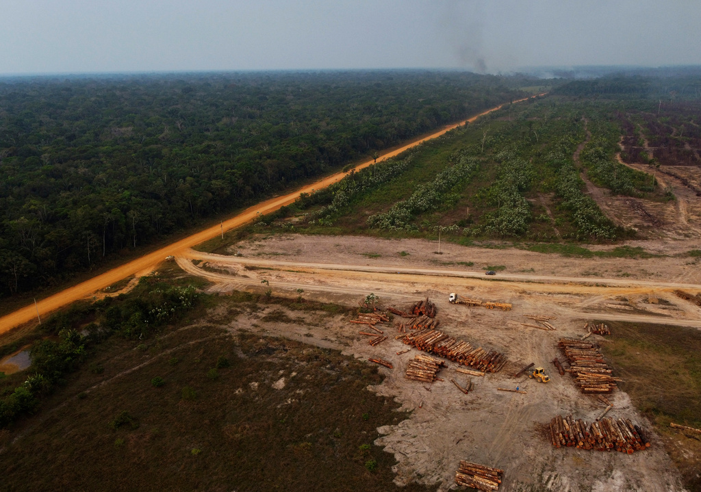 Drying behind increased deforestation in Amazon | Sweden Herald
