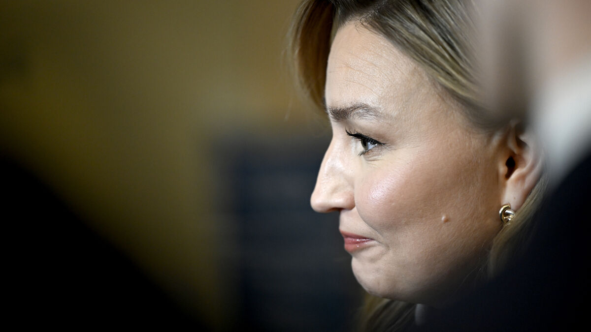 Busch to the US: Greta is not the one who rules Europe | Sweden Herald