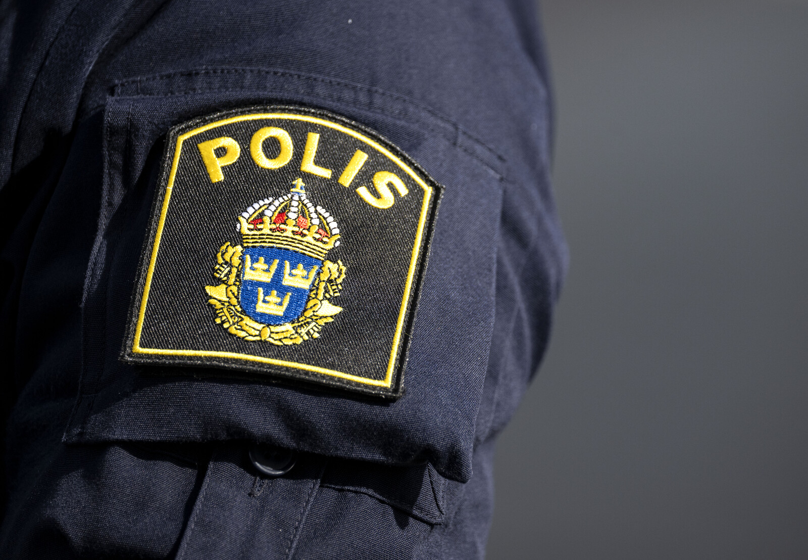 Swedish Police Criticized for Dropping Fraud Case Without Action ...