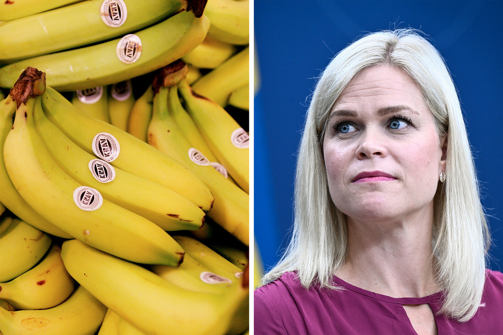 Brandberg on the banana incidents: Ridicule | Sweden Herald