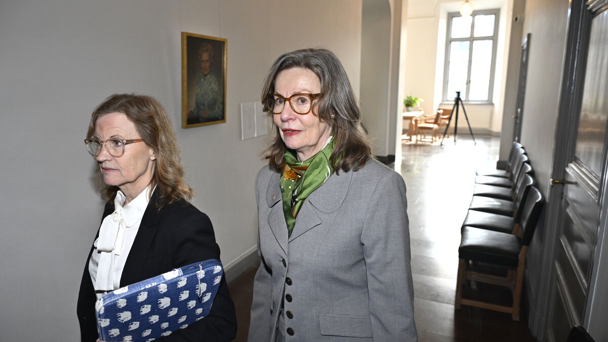 Background: The twists surrounding Birgitte Bonnesen | Sweden Herald