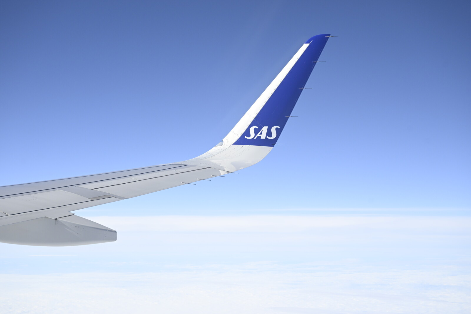 SAS Reorganization to Impact 200 Jobs | Sweden Herald