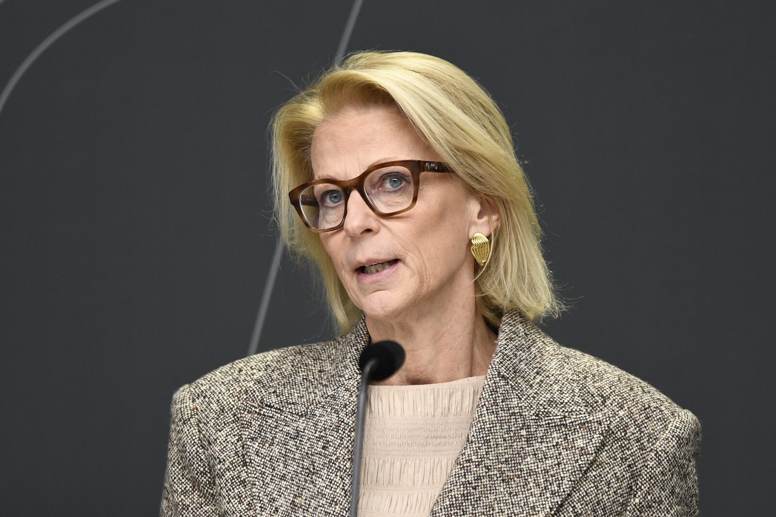Svantesson: No Exceptions to the Budget | Sweden Herald