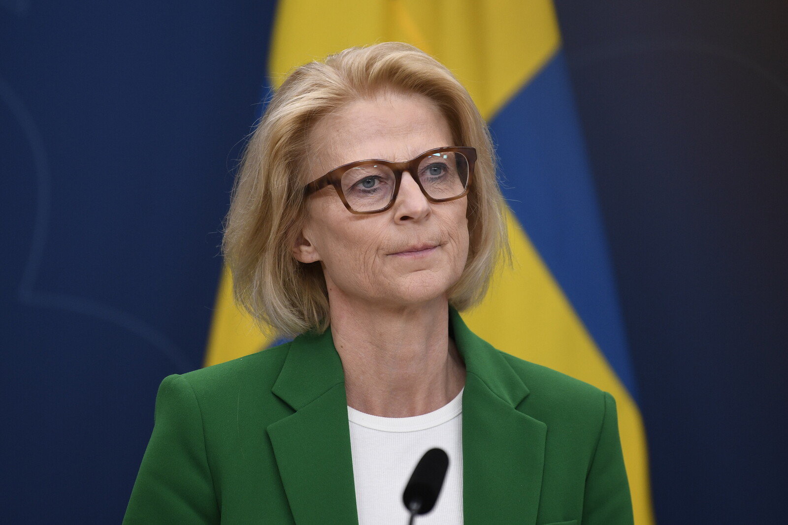 Sweden's Finance Minister Criticizes US Tariff Policy as Risky Move ...