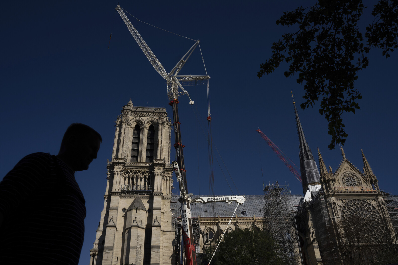 Five years after the fire: Notre Dame's bells ring | Sweden Herald