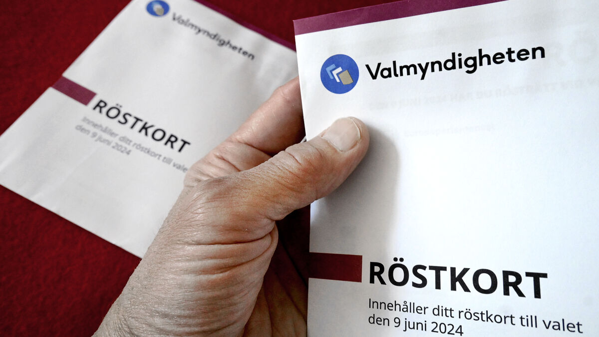 The election authority's ads are stopped by Meta | Sweden Herald