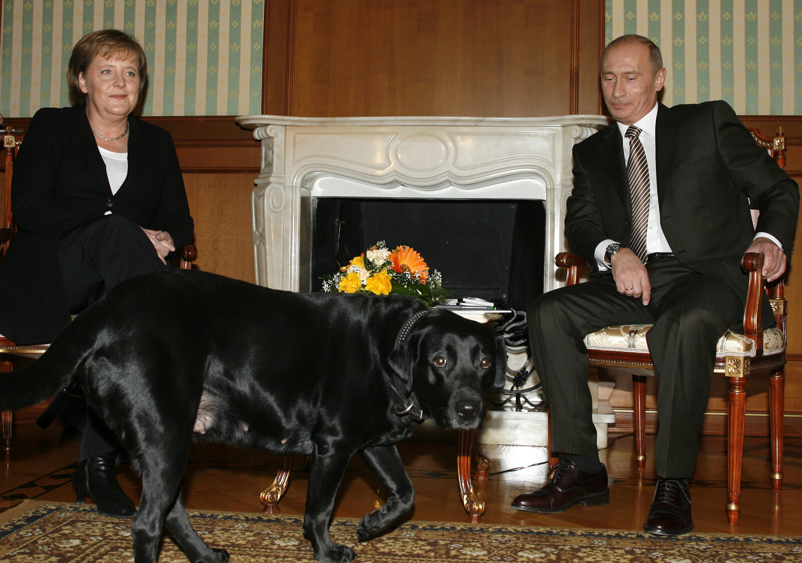 Putin: Angela, forgive me for the dog | Sweden Herald