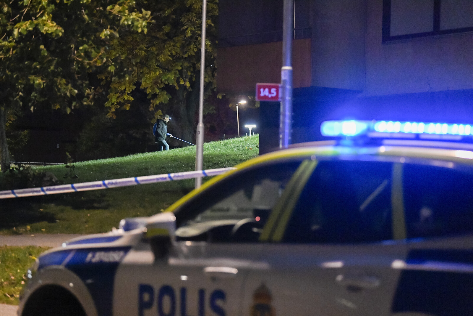Significantly reduced firearms violence in Sweden | Sweden Herald