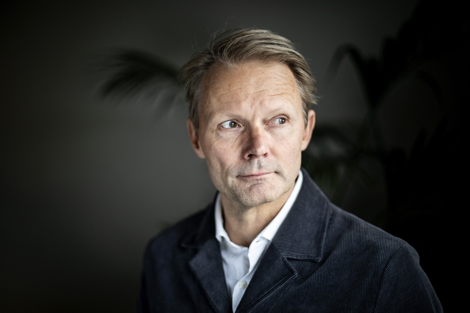 Felix Herngren Hosts New Celebrity Competition Show on Prime Video ...