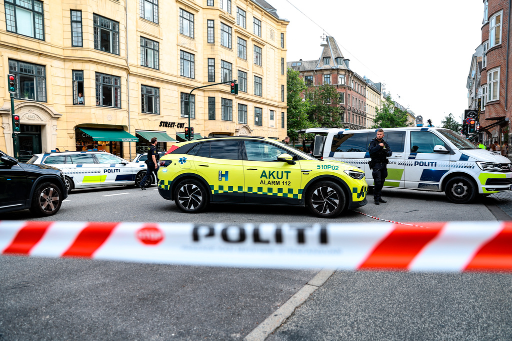 New efforts against Swedish crime wave in Denmark | Sweden Herald