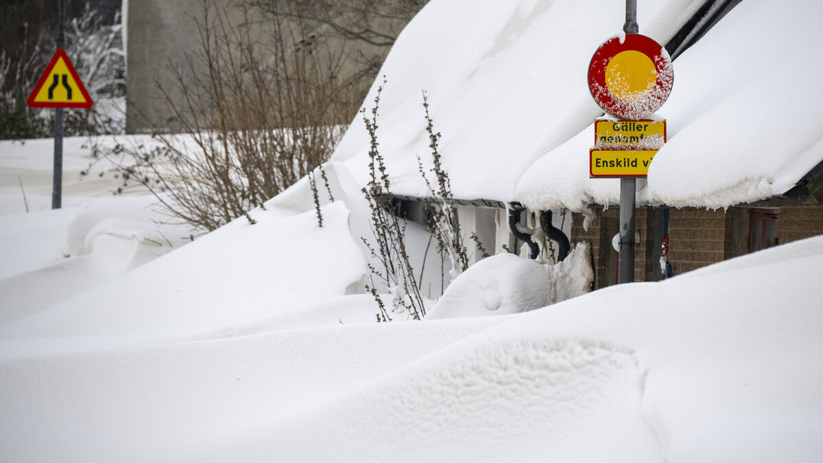 Coldest January in Europe since 2010, Copernicus says | Sweden Herald