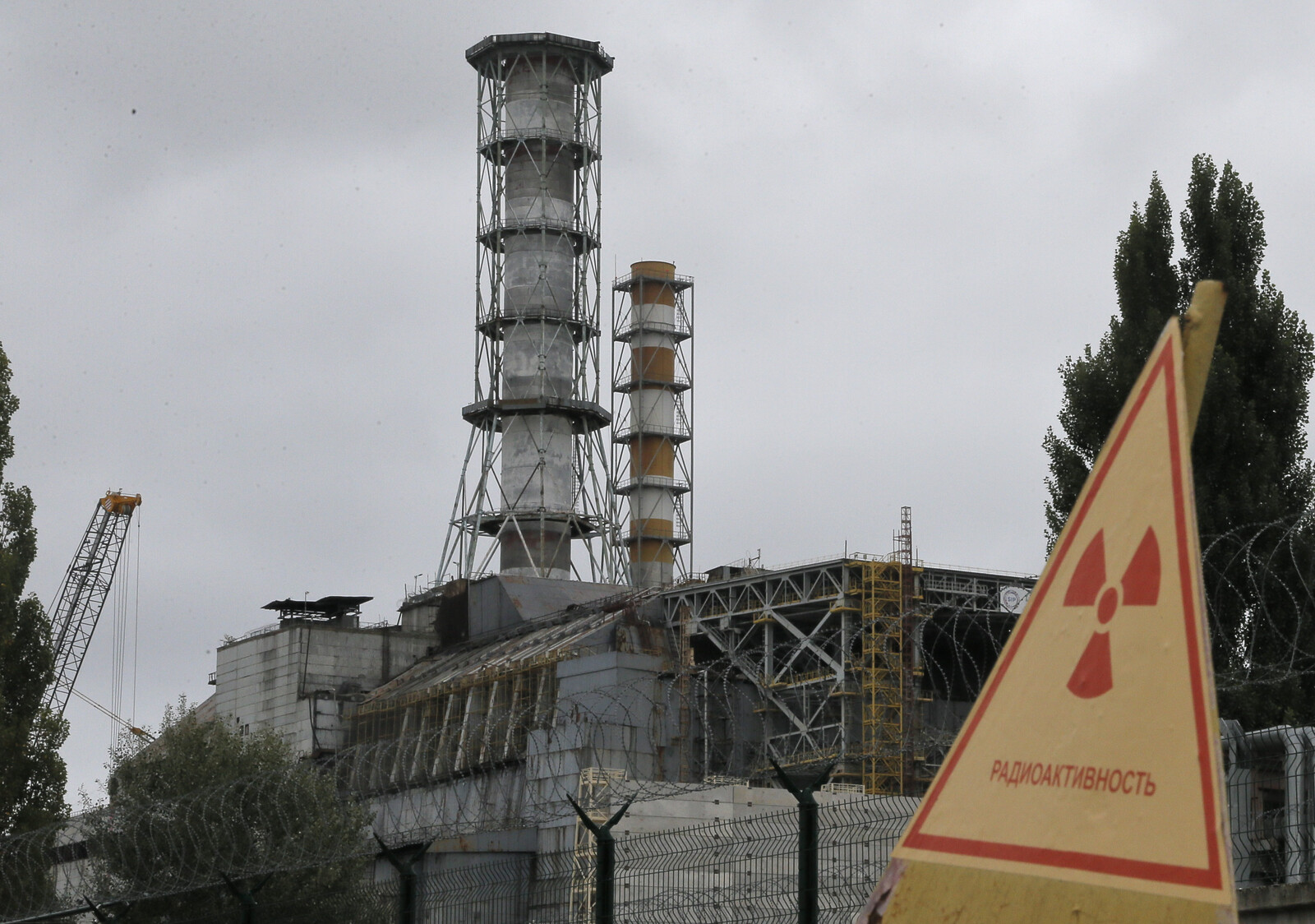 Swedish Radiation Authority Seeks Fish Samples for Chernobyl Study ...