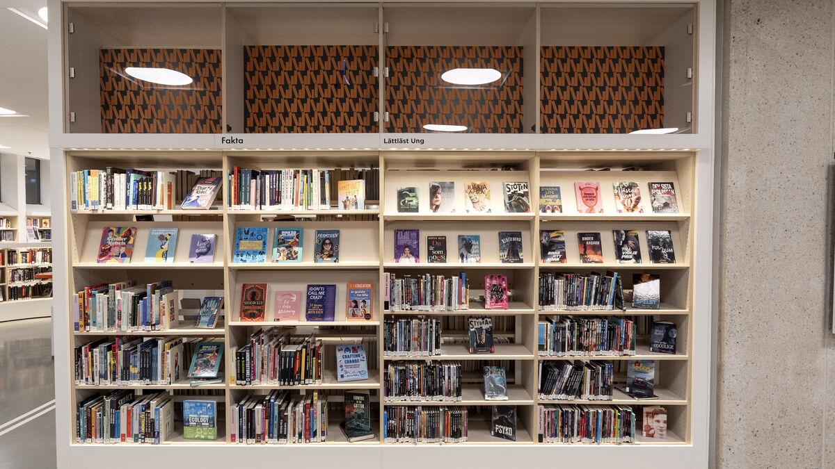 Faint improvement for public libraries as survey finds more can ...