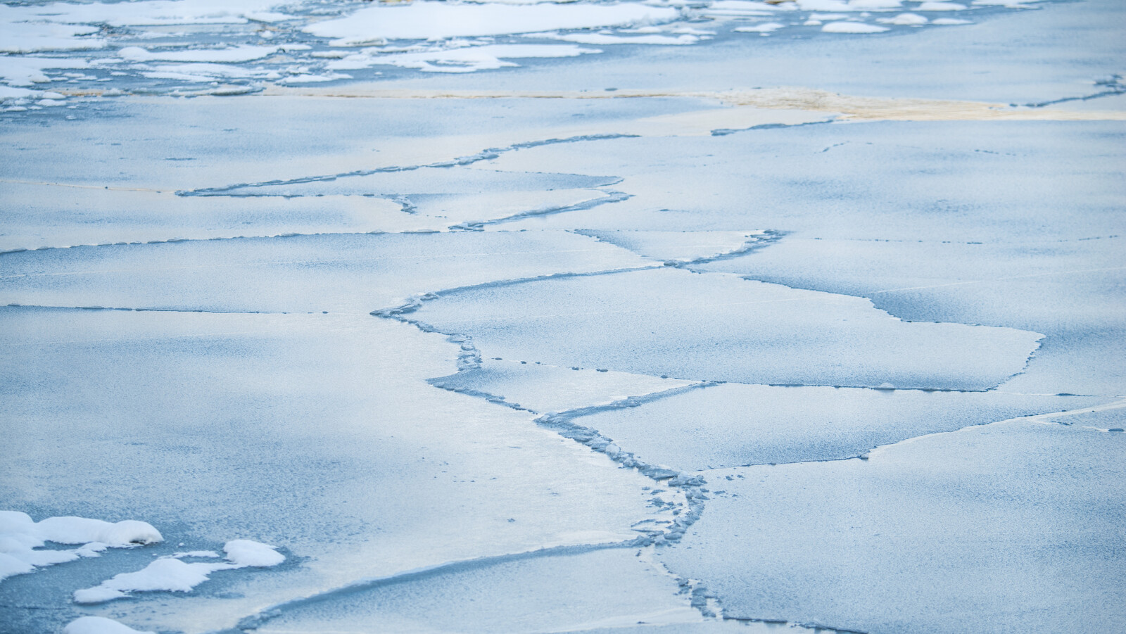 More and more people are freezing to death in Sweden | Sweden Herald