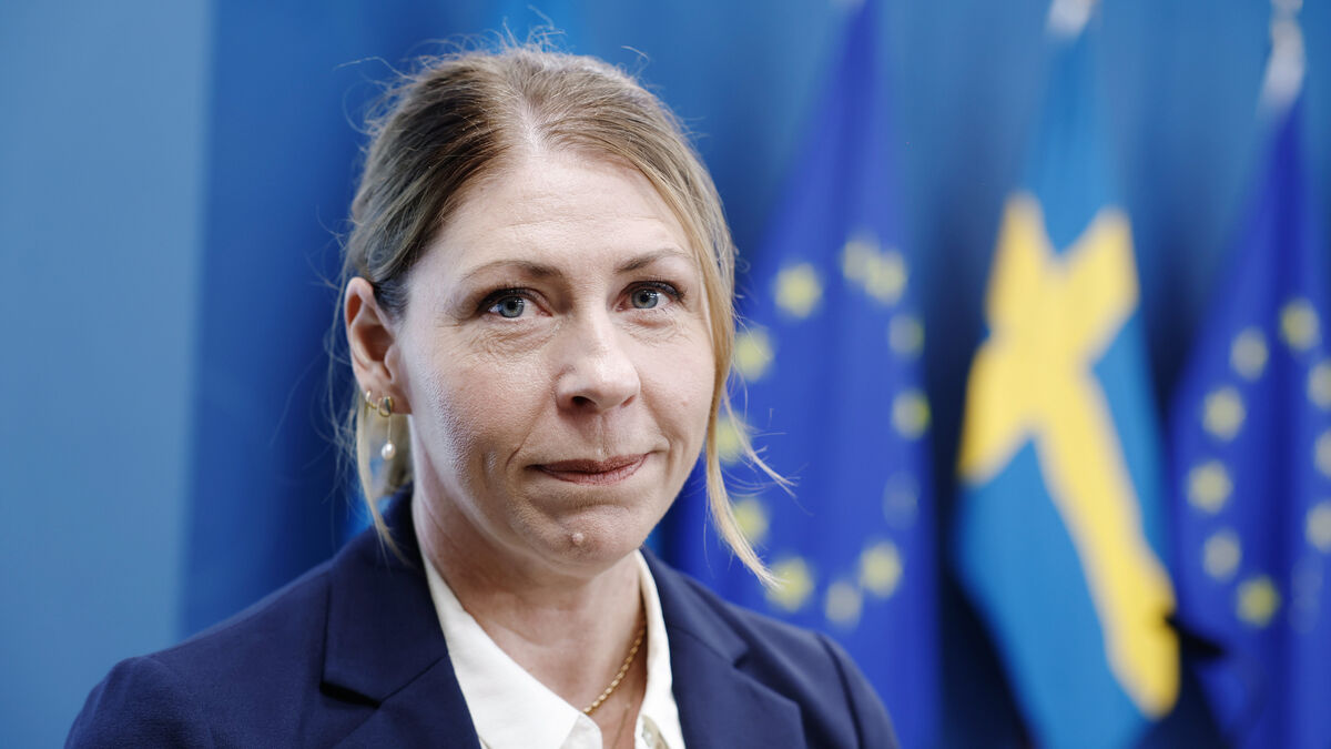 Swedish government establishes crisis commission for healthcare ...