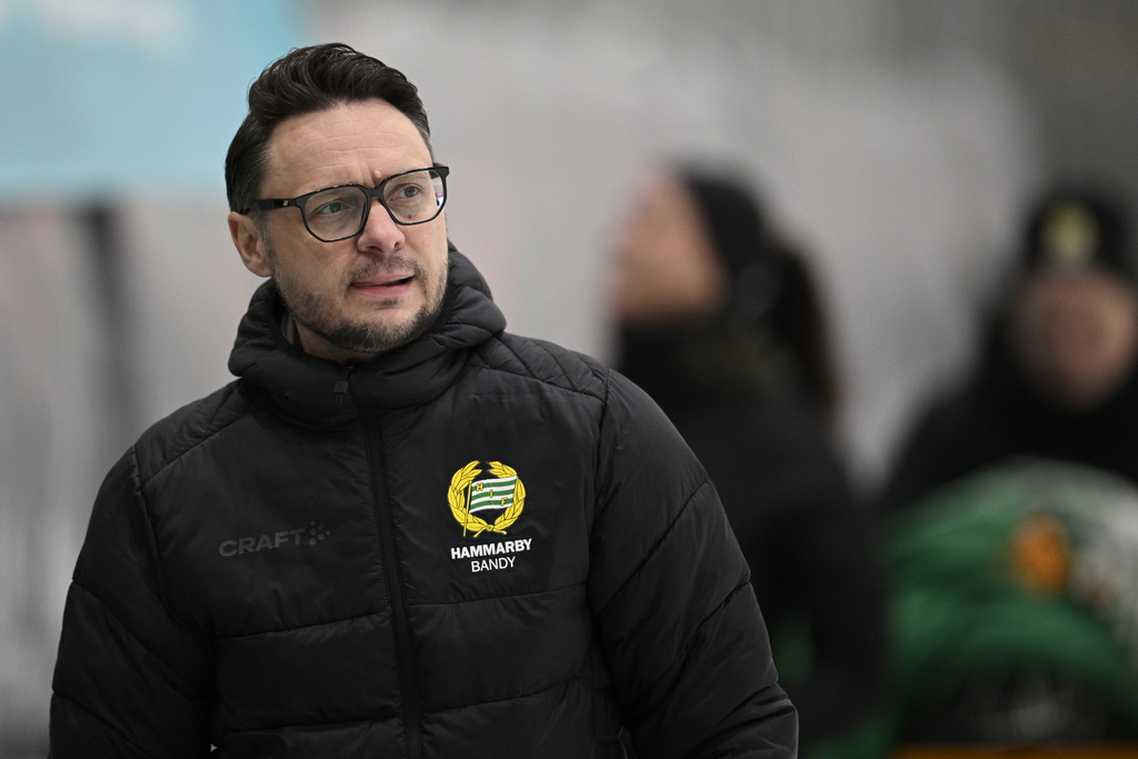 Concern about the future of bandy: "Risks dying out" | Sweden Herald