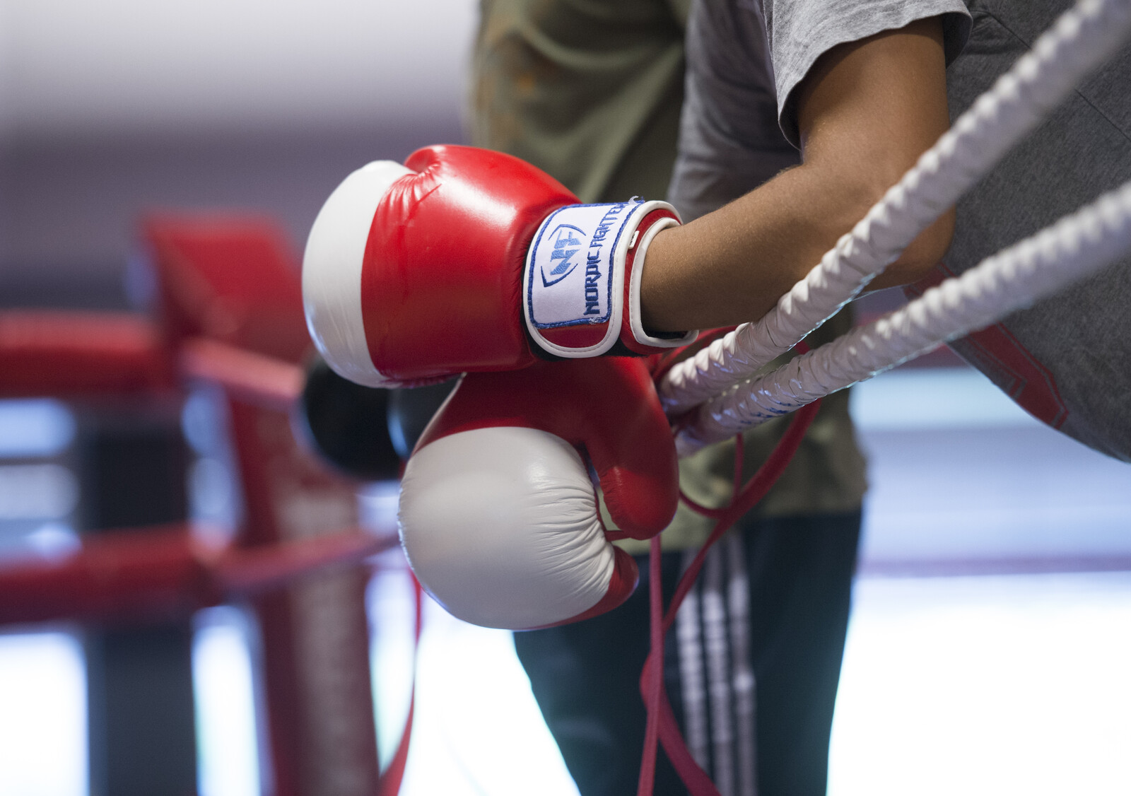 Swedish Boxing Federation Dismisses Chairman Susanne Kärrlander ...