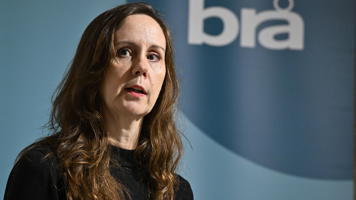 10,000 Women Linked to Swedish Gangs Play Key Roles in Crime | Sweden ...