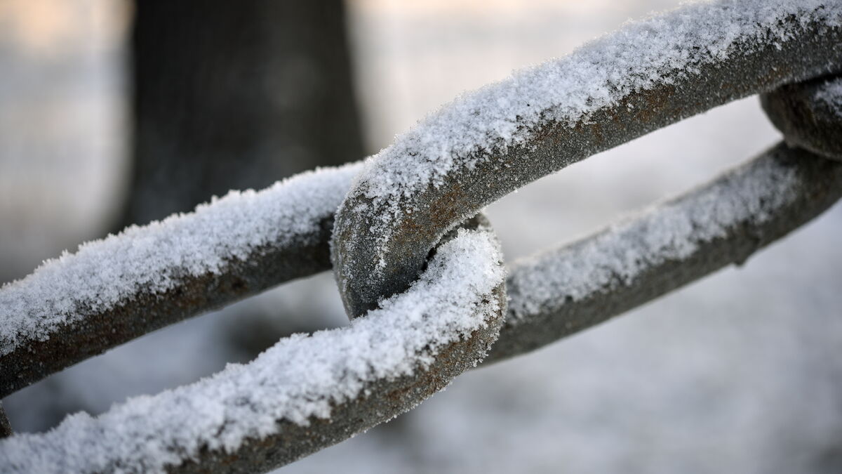 National Ice Day for the first time in two years | Sweden Herald