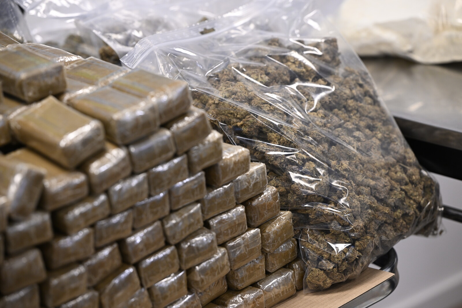 Twelve Indicted in Major Scania Drug Network Bust | Sweden Herald