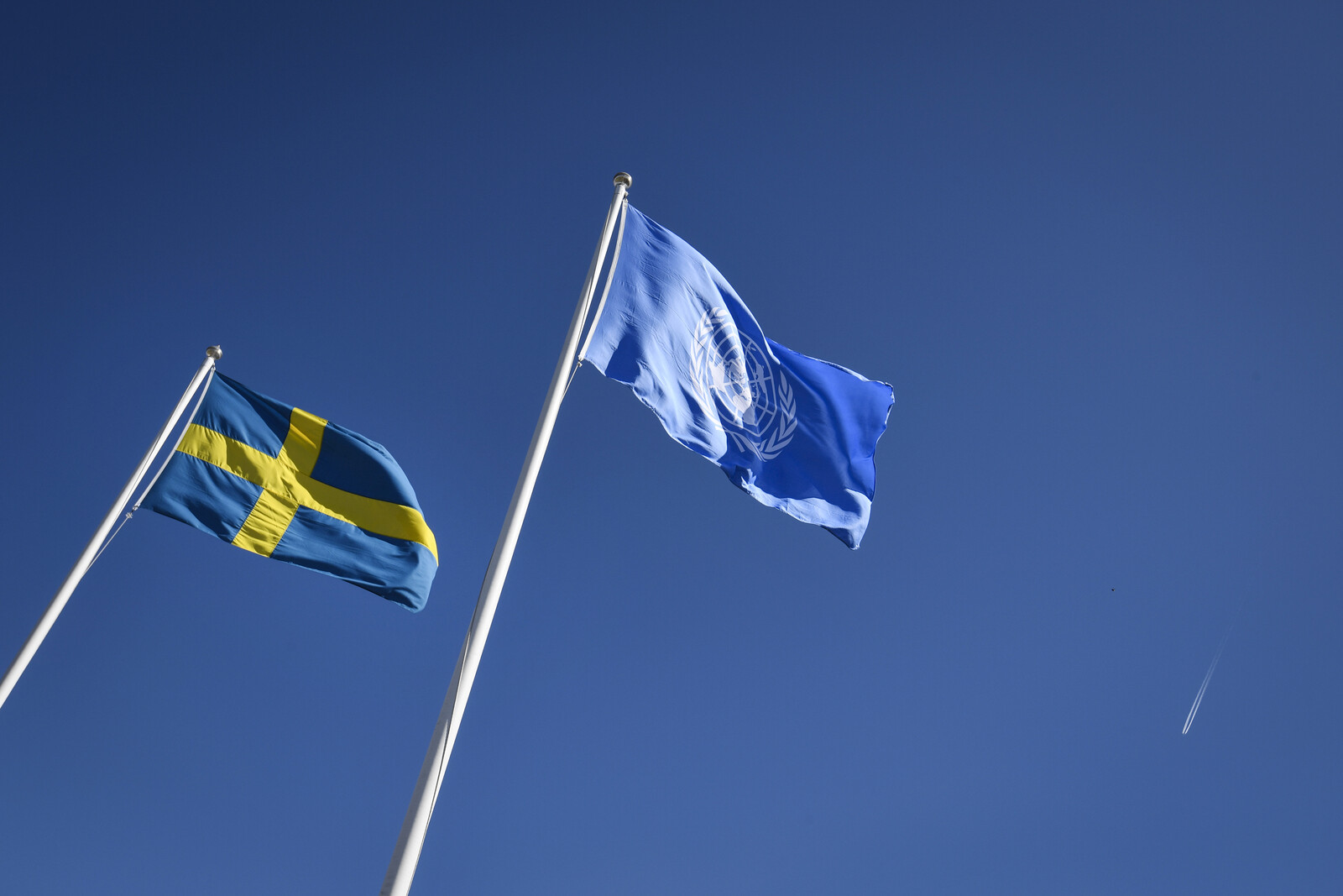 NATO and the UN have higher confidence than the government | Sweden Herald